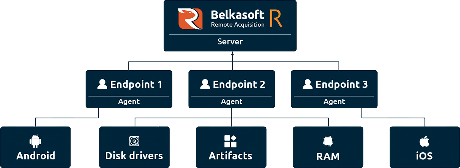 シリーズについて｜企業で使えるインシデントレスポンスツール Belkasoft X｜くまなんピーシーネット